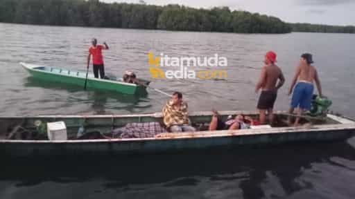Macing di Laut, Dua Warga Guntung Disengat Tawon hingga Dilarikan ke RS ...