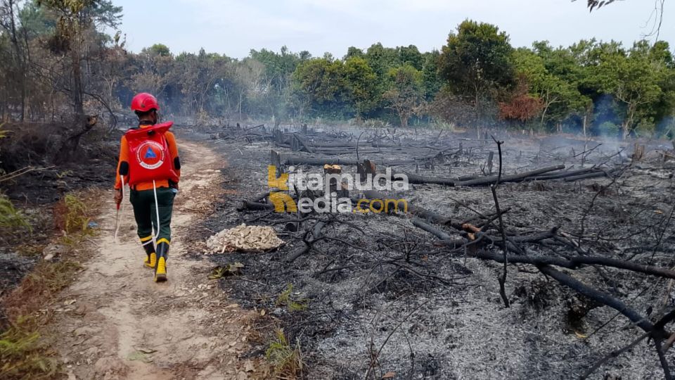 Cegah Meluas, BPBD Bontang Berhasil Jinakkan Api di Gunung Elai ...